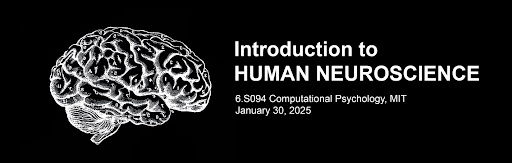 Preliminary Background - Brain Foundation Models